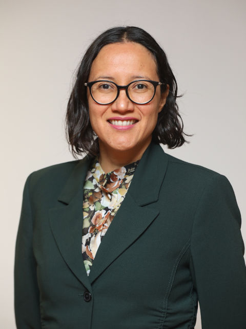 Organizational Structure | IPSA